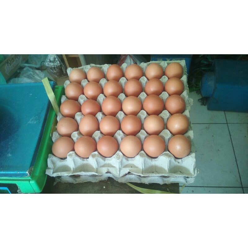 Jual Telur Ayam 500 g | Shopee Indonesia
