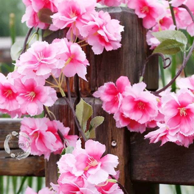 Jual Bunga sakura rambat/bunga rambat artificial/bunga plastik | Shopee ...