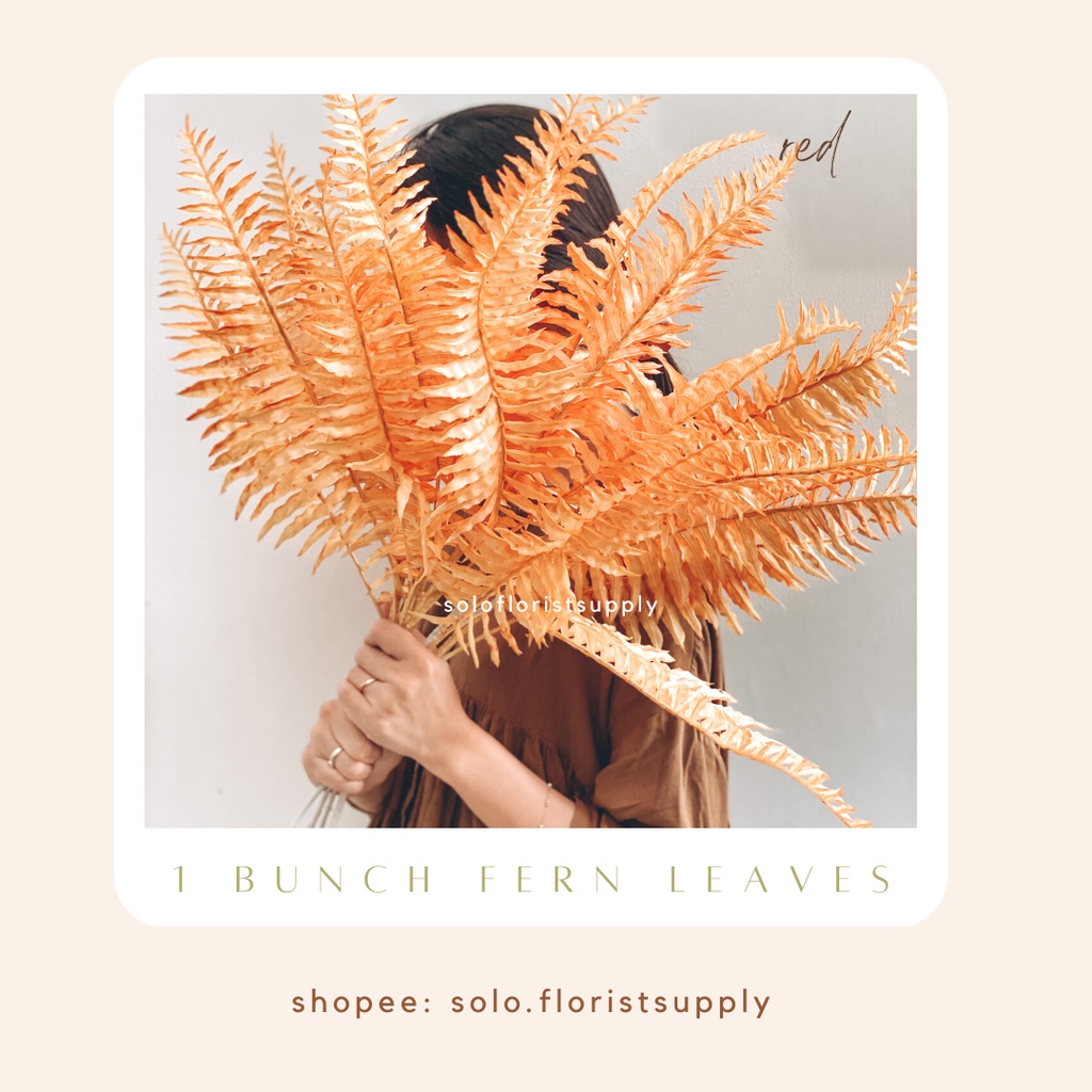 Jual 76cm FERN PERSIA BUNCH ARTIFICIAL Daun Fern Persia Panjang ...