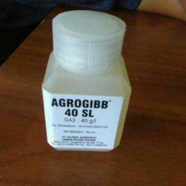 Jual Agrogibb ga3 giberelid acid 40 sl nutrisi pembesar buah naga ...