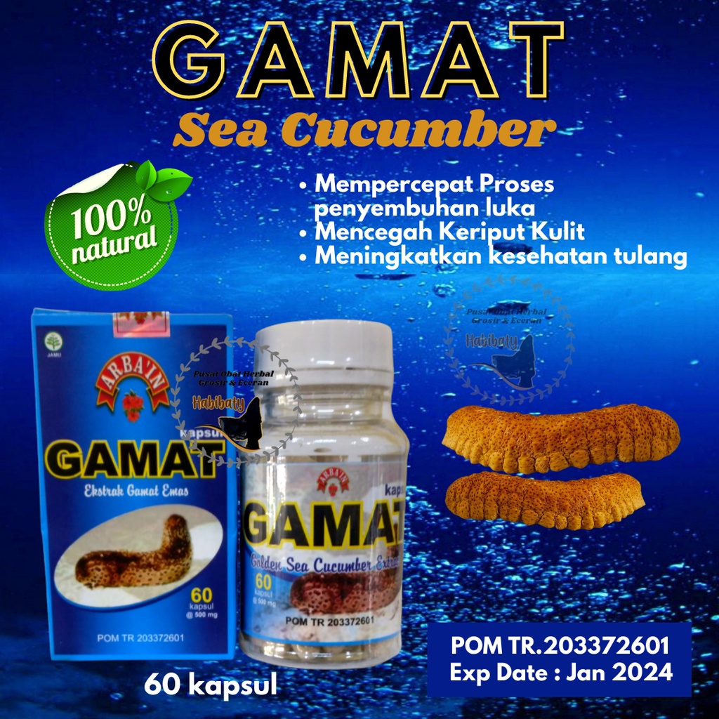 Jual Gamat Emas Sea Gold Cucumber Arbain 60 kapsul | Shopee Indonesia