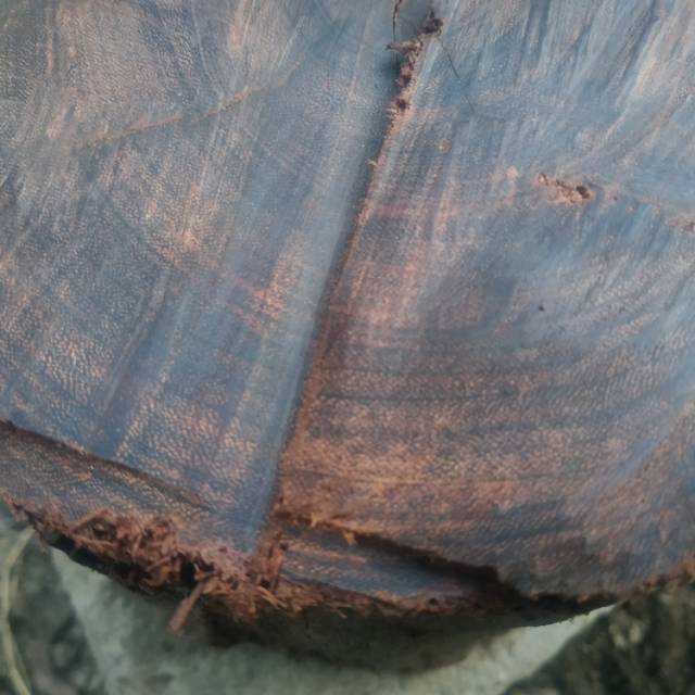 Jual Bahan kayu galih asem gandul full galih berat 2kg gram | Shopee ...