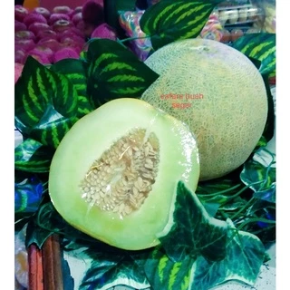 Jual Melon 1 Kg Terlengkap & Harga Terbaru Maret 2026 | Shopee Indonesia