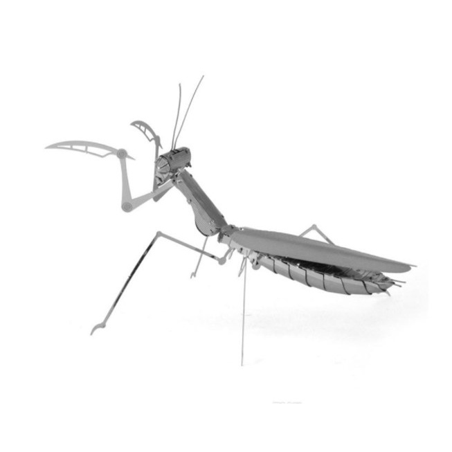 Jual Metal Puzzle 3D INSECT ARMY Nano - Puzzle DIY Miniatur Serangga ...