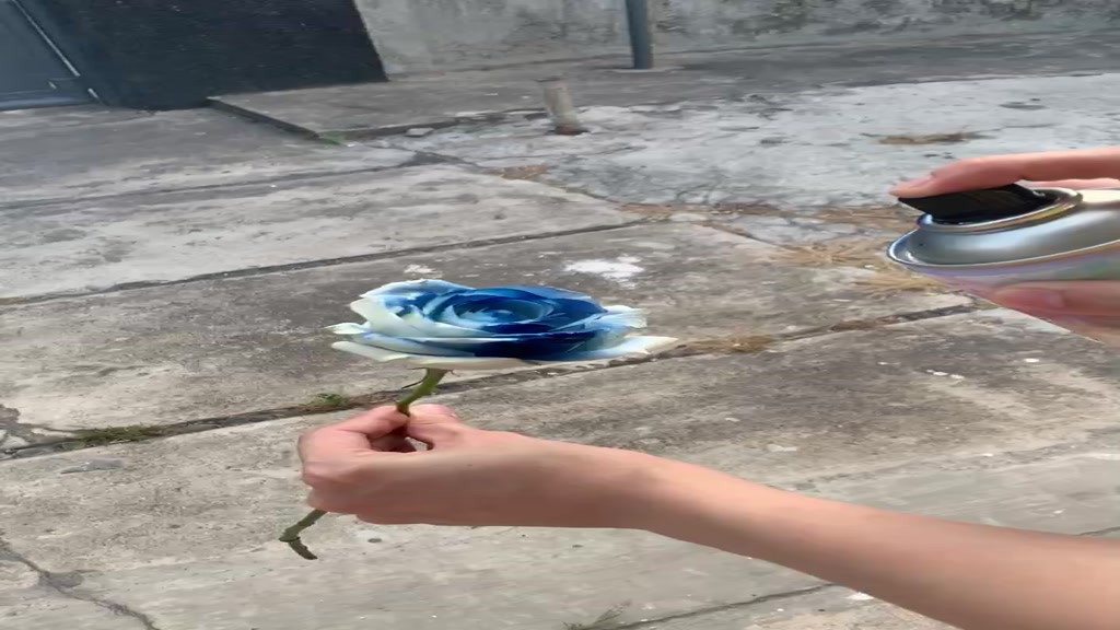 Jual FLORAL COLOR SPRAY CEPAT KERING PENGUBAH WARNA BUNGA ASLI ...