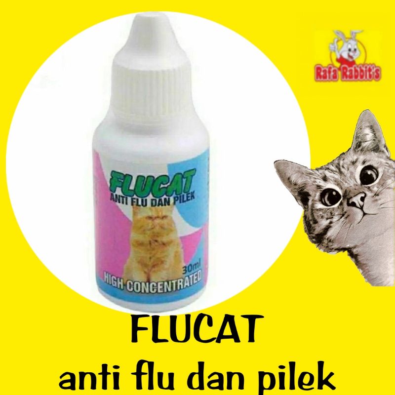Jual flucat drop obat flu pilek dan demam pada kucing 30ml | Shopee ...