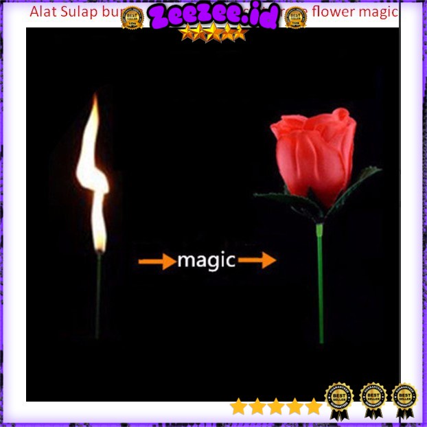Jual Alat Sulap bunga mawar api torch to rose flower magic | Shopee ...