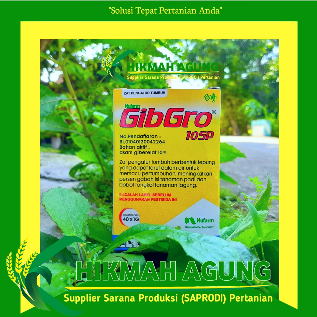 Jual Gibgro Zat Pengatur Tumbuh 10 SP 1 GRAM PER SACHET ZPT PENYUBUR ...