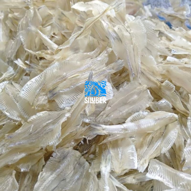 Jual Pakang kering/ kalapan tawar ikan asin | Shopee Indonesia