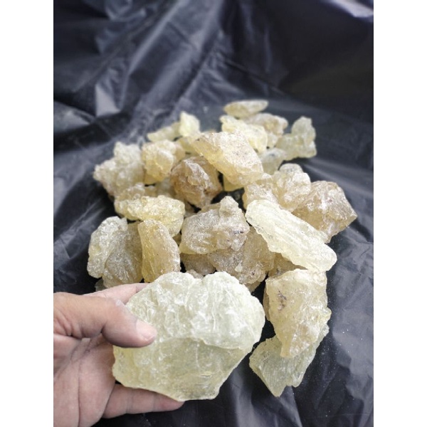 Jual 1kg Getah/Myrrh/Resin Damar Mata Kucing Asli Lampung | Shopee ...