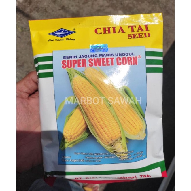 Jual Benih Jagung Manis Unggul Super Sweet Corn isi 250gr(EXP 03/2024) | Shopee Indonesia