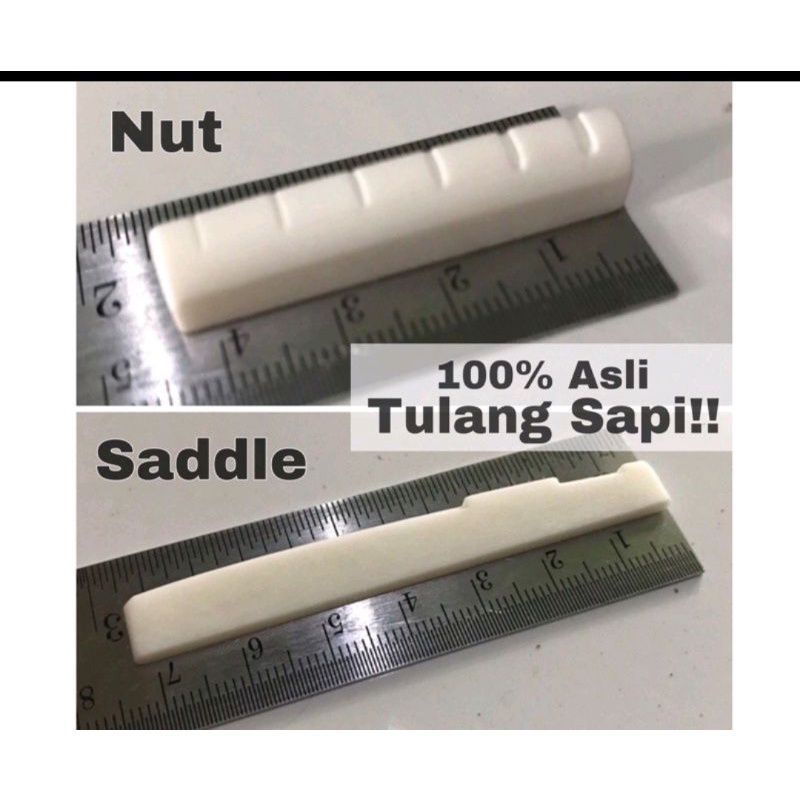 Jual 1 pasang nut dan sadle gitar akustik bahan tulang | Shopee Indonesia