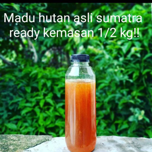Jual Madu Hutan Asli Sumatera | Shopee Indonesia
