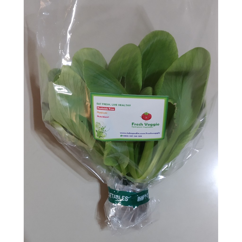 Jual Sayur Pakcoy Hidroponik 250-300gr | Shopee Indonesia