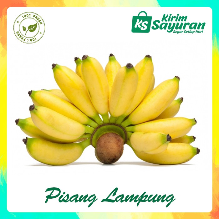 Jual Pisang Lampung (1 sisir) | Shopee Indonesia