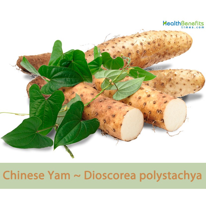 Jual Sayur Segar Ubi Talas Chinese Yam Huai San Nagaimo Yam 250 gr ...