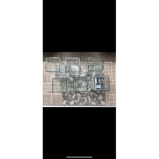 Jual Solitaire ikan cupang | Shopee Indonesia