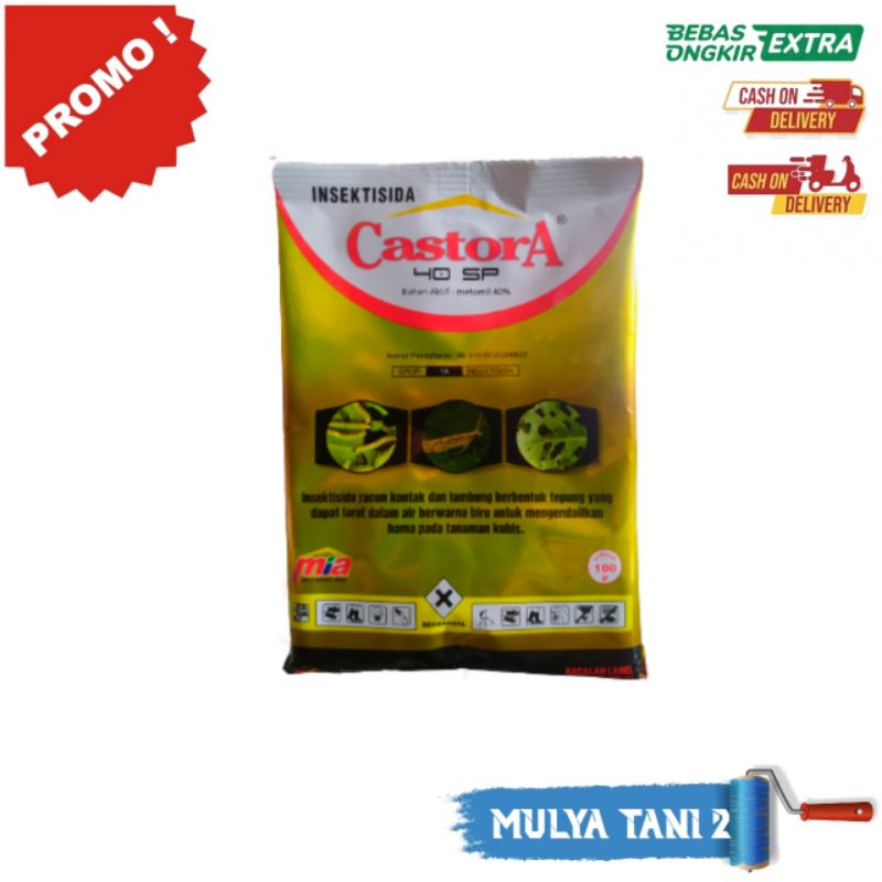 Jual INSEKTISIDA CASTORA 40SP | Shopee Indonesia