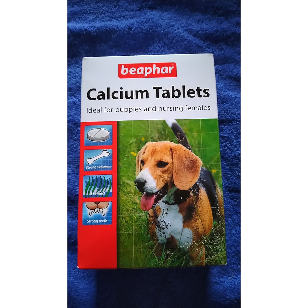 Jual Beaphar calcium tablets isi 180 tablet | Shopee Indonesia