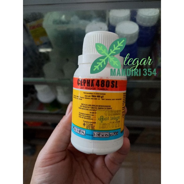 Jual zat pematang buah cepha karbit cair ZAT PENGATUR TUMBUH TANAMAN ...