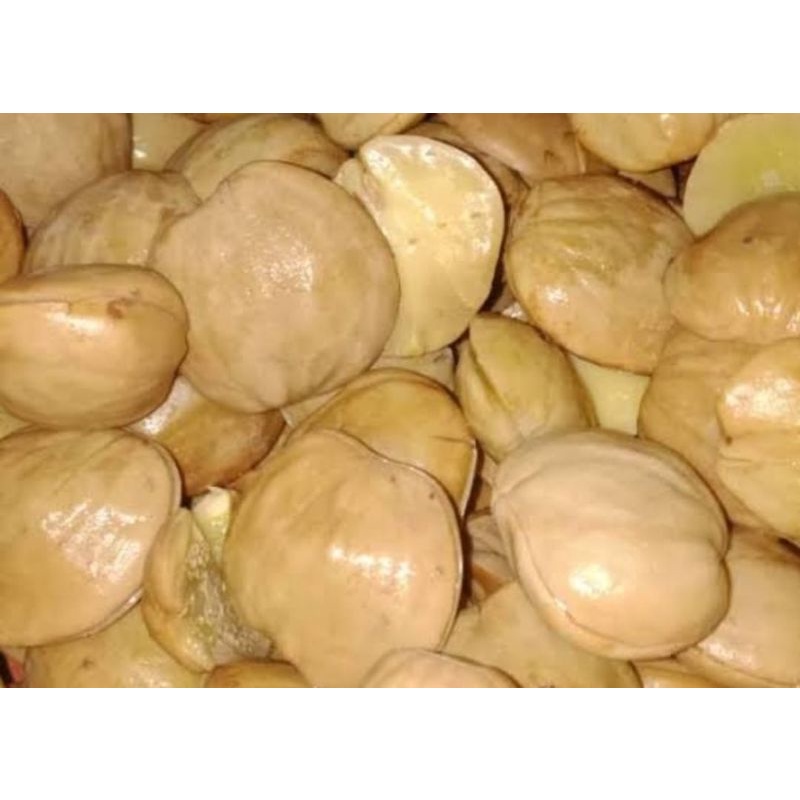 Jual Jengkol Rebus Segar 250gram | Shopee Indonesia