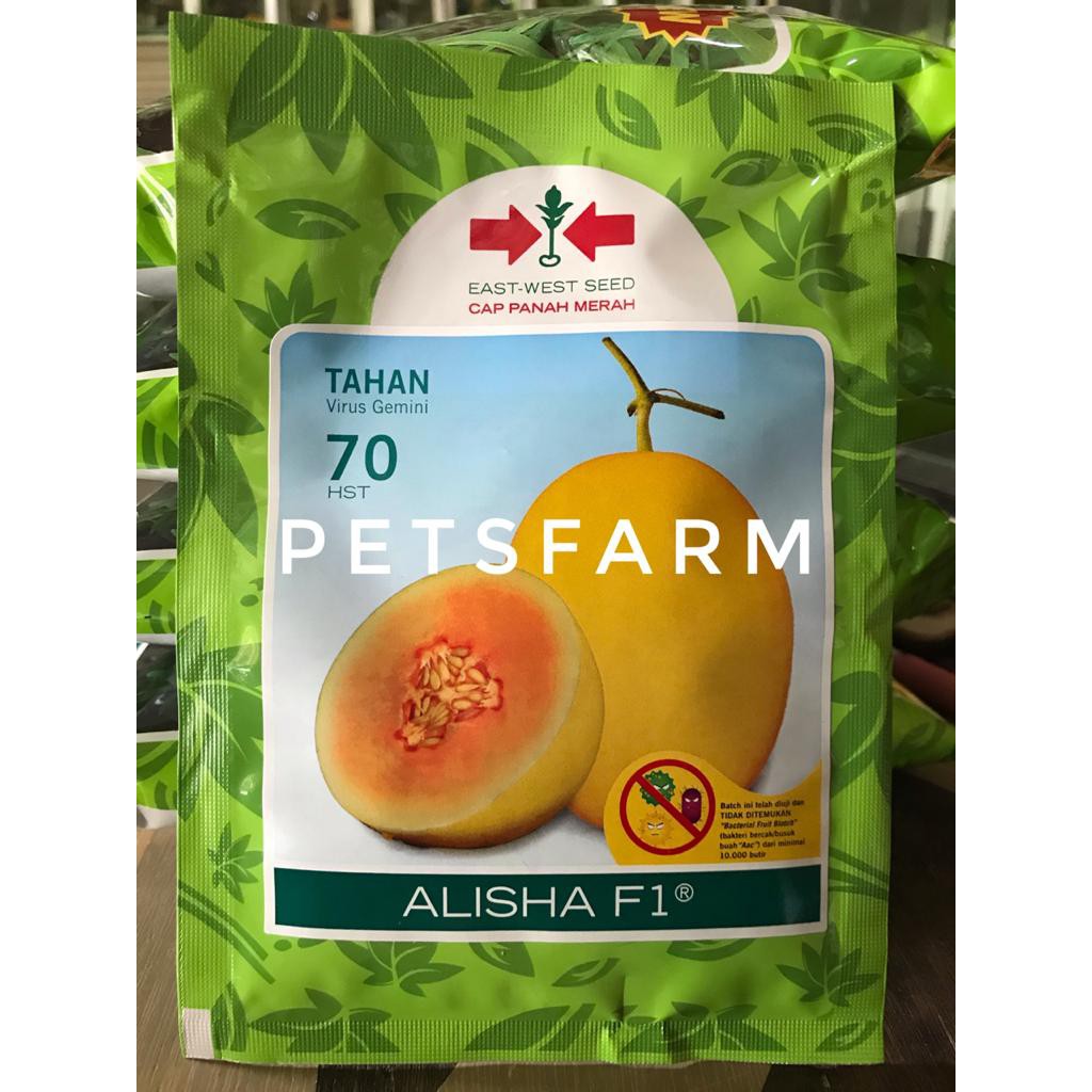 Jual Benih MELON ALISHA F1 Cap Panah Merah Bibit Melon Alisha Benih ... Jual Benih MELON ALISHA F1 Cap Panah Merah Bibit Melon Alisha Benih ...