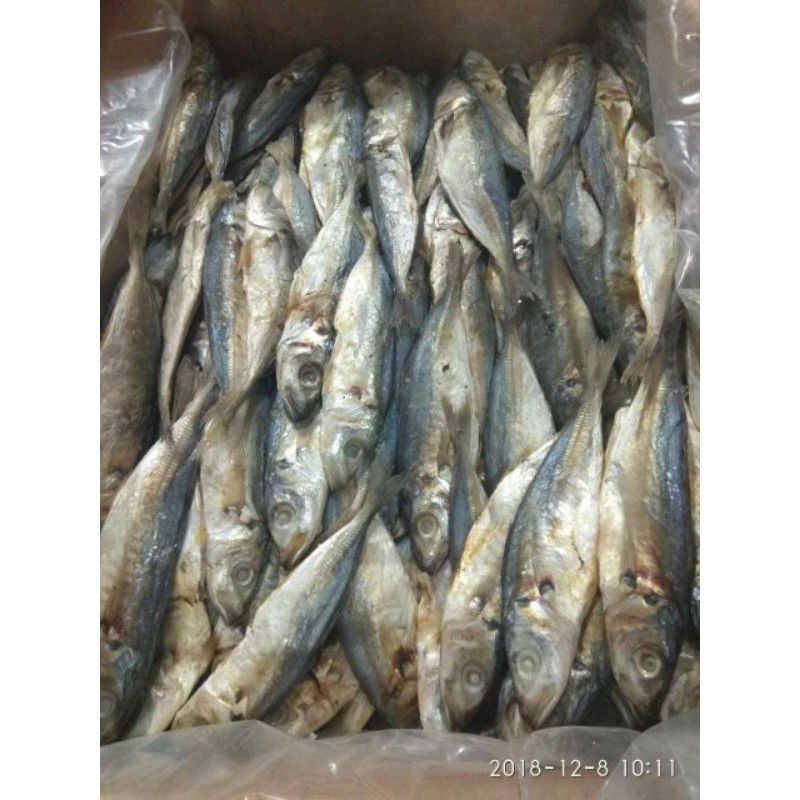 Jual ikan asin peda japu 250 gram | Shopee Indonesia
