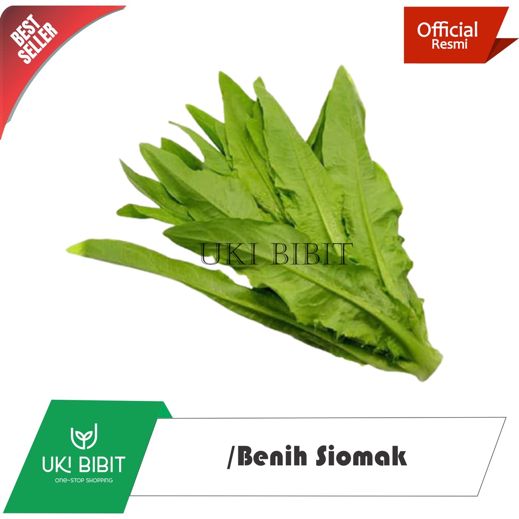 Jual ( 10 Gram ) Benih Selada Wangi | Siomak Hijau | Shopee Indonesia