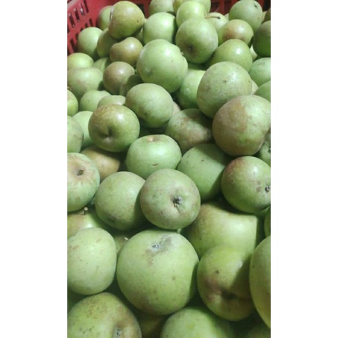 Jual Apel Manalagi Mini/Apel Cherry manis/Apel jus | Shopee Indonesia