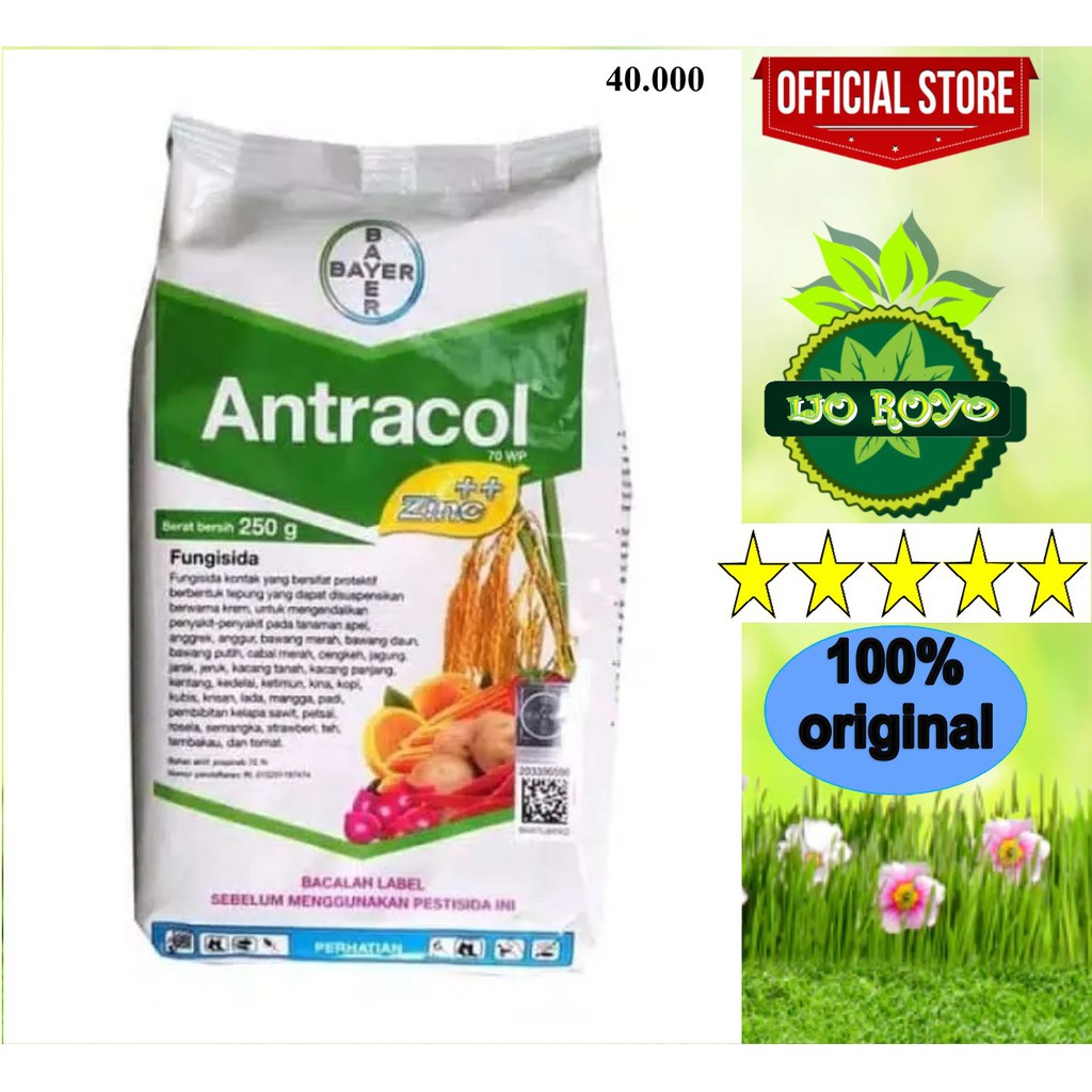 Jual Antracol Fungisida Obat Jamur Tanaman 70WP 250gr 250 gram | Shopee ...