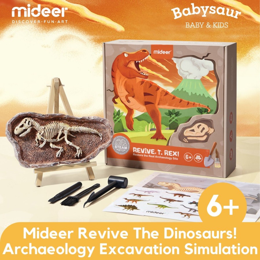 Jual Mideer Revive Dinosaurs Arkeologi Memahat Dinosaurus Dino DIY Toy ...