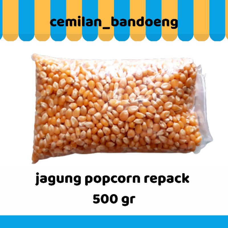 Jual kernel Jagung Popcorn mentah 500 gr | Shopee Indonesia