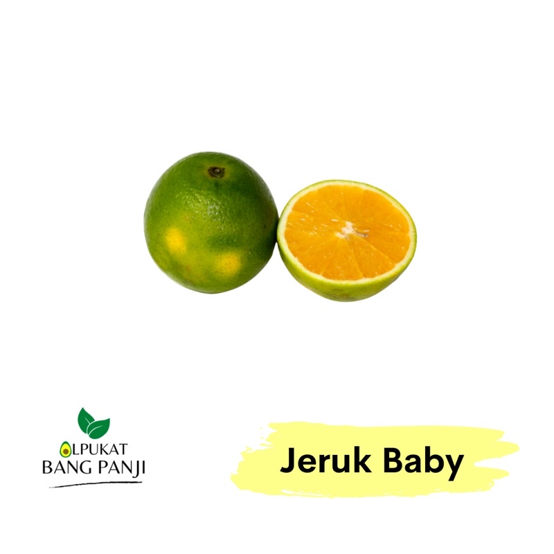 Jual ALPUKAT BANG PANJI - Jeruk Baby Sunpride | Shopee Indonesia