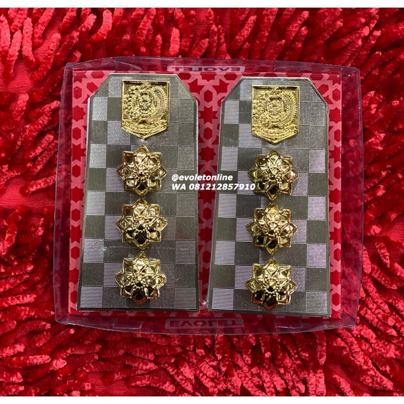 Jual pangkat PDU BUPATI logo depdagri baru terbaru | Shopee Indonesia