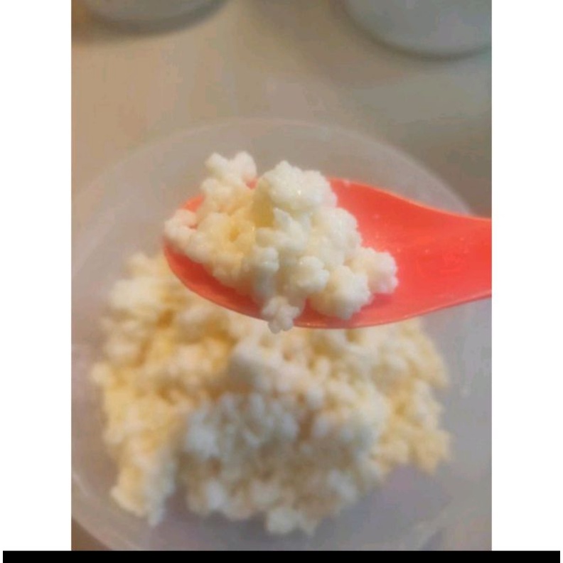 Jual Bibit kefir grain asli untuk seumur hidup 10 gr | Shopee Indonesia