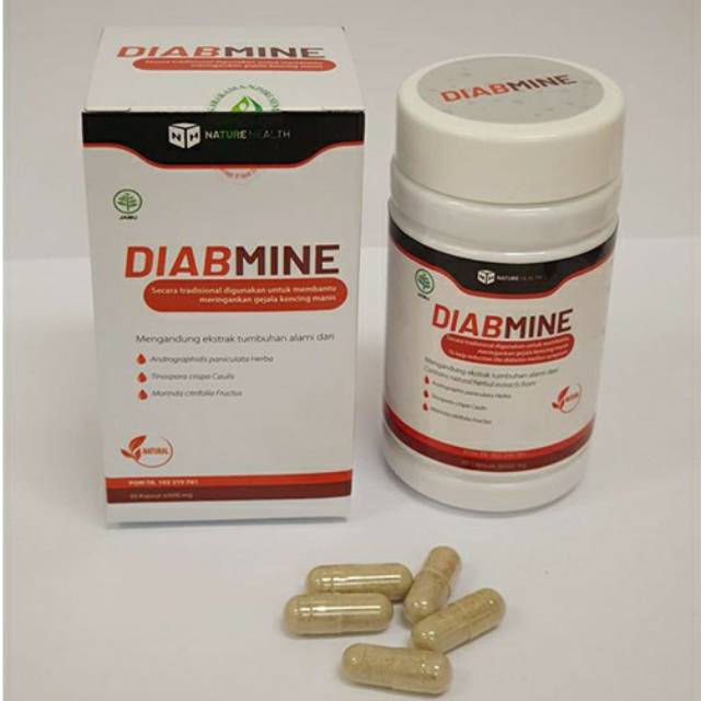 Jual Diabmine Obat Diabetes Membantu Mengoptimalkan Endokrin - Menjaga ...