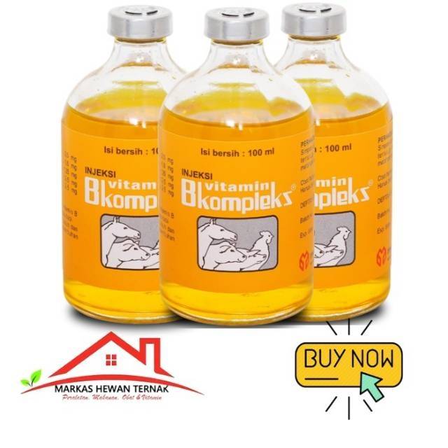 Jual VITAMIN B KOMPLEKS INJEKSI HEWAN TERNAK SAPI AYAM BABI 100ML ...