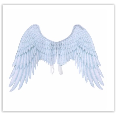 Jual Sayap peri Sayap karnaval Kostum Sayap Malaikat Pria Wanita Dewasa ...