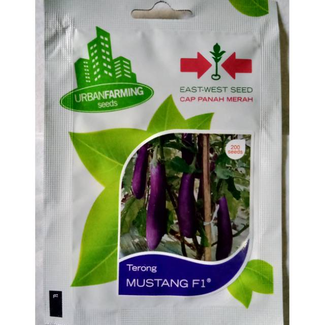 Jual Benih terong ungu mustang f1 | Shopee Indonesia