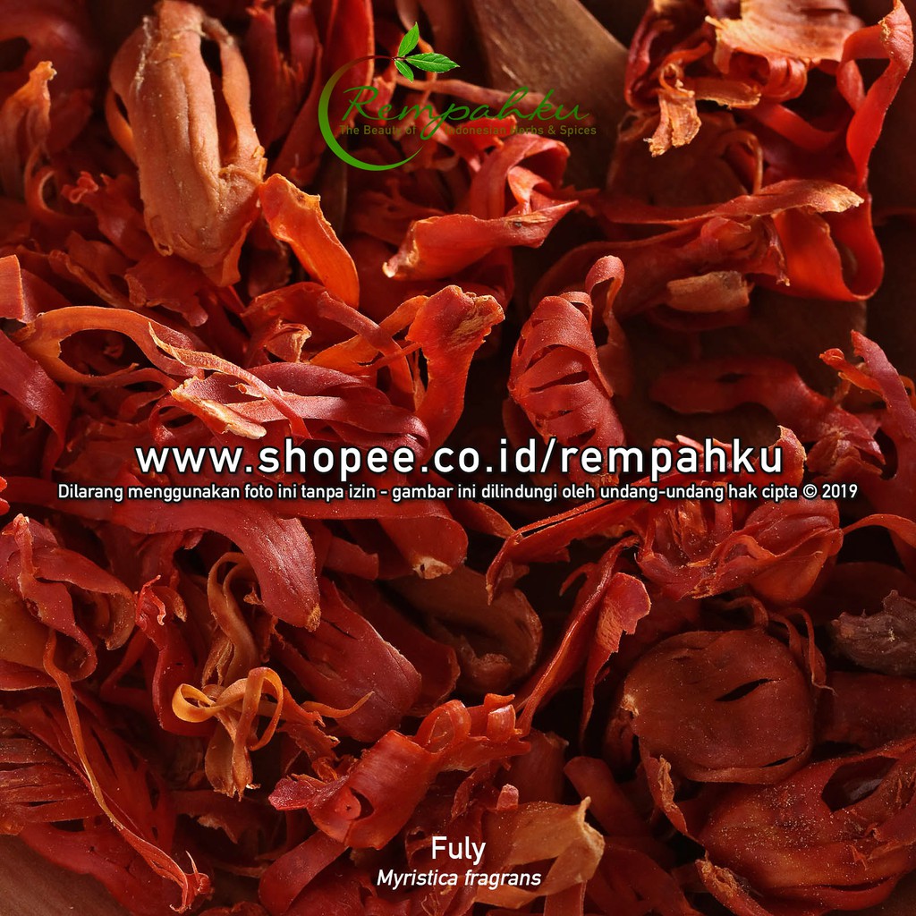 Jual Rempahku - FULI Bunga Pala 10gr Sample Mace Fuly Kembang Kering ...
