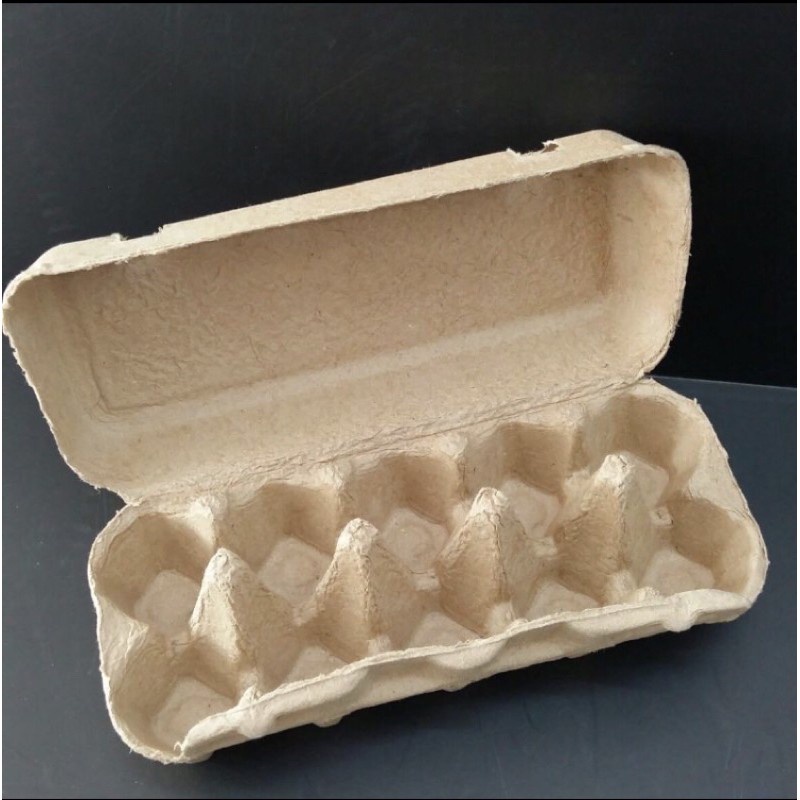 Jual HS Paper egg box 10 lubang kotak telur box kotak telur kertas ...
