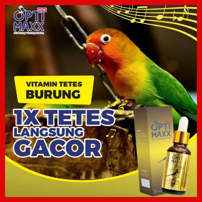 Jual Optimaxx Optimax Obat Vitamin Tetes Burung Kicau Penggacor Burung ...