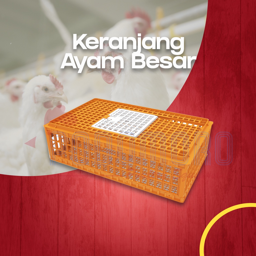 Jual KERANJANG AYAM MEDION || BOX UNTUK PANEN AYAM | Shopee Indonesia