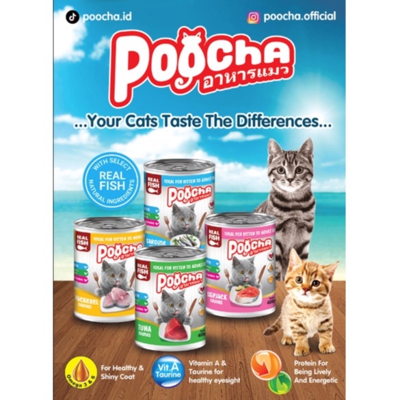 Jual Poocha 400gr makanan kaleng kucing | Shopee Indonesia