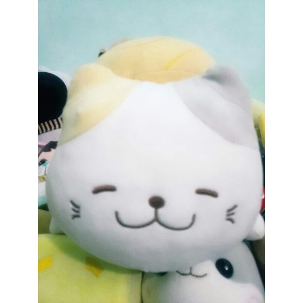 Jual kucing sushi miniso | Shopee Indonesia