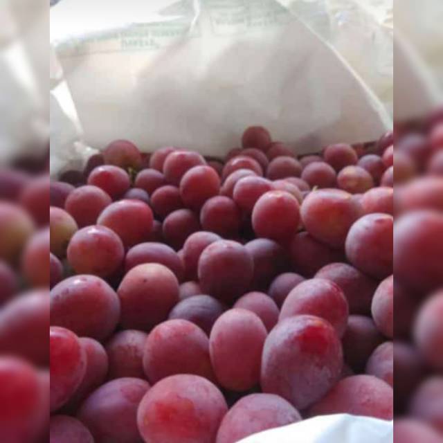 Jual Anggur merah Australia | Shopee Indonesia