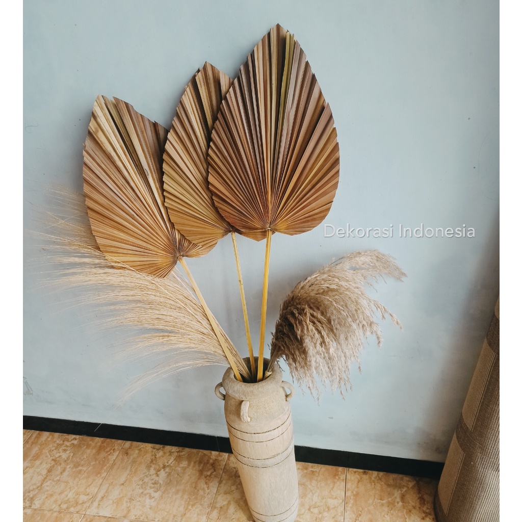 Jual Daun Palem Kering / Rustic / Dekorasi | Shopee Indonesia