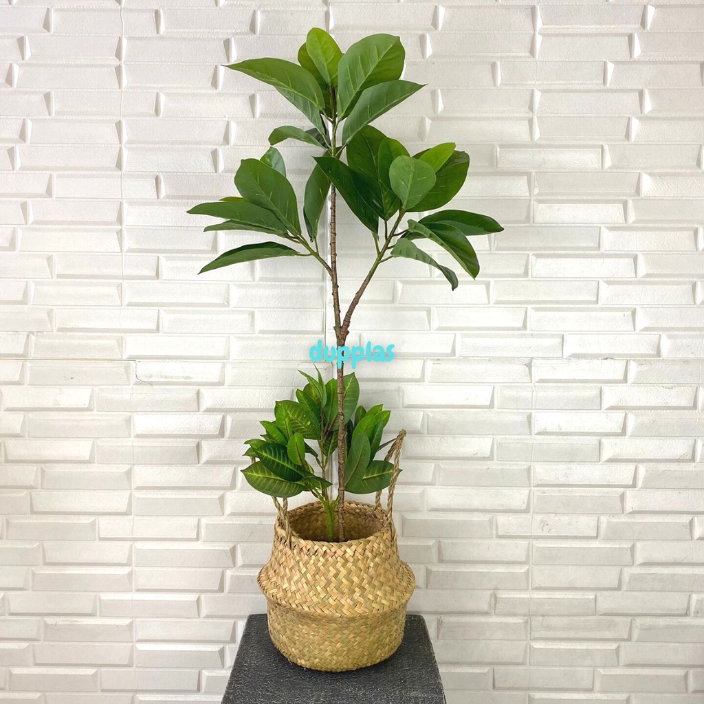Jual Pohon Artificial Daun Magnolia X3 Latex Cover Purun Belly Borneo ...