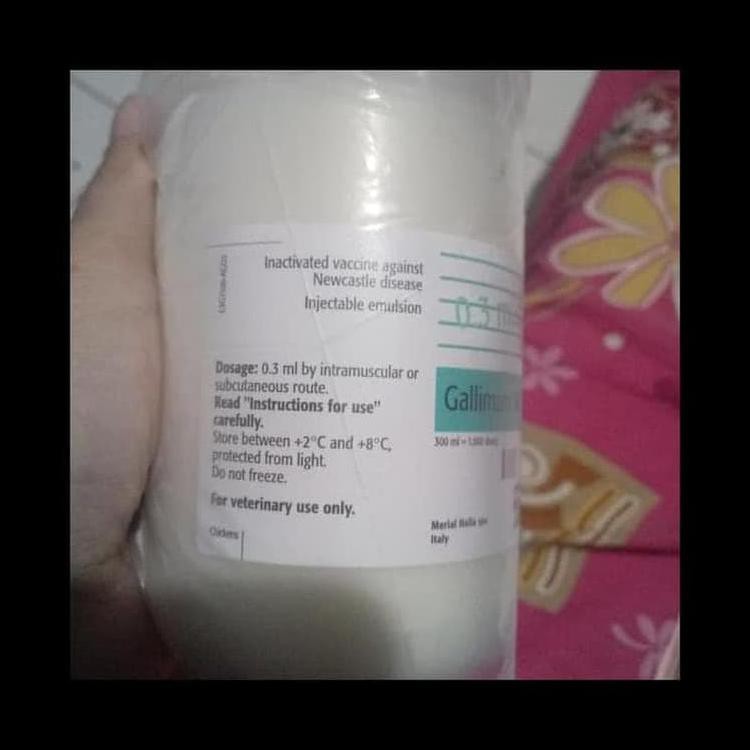 Jual NEW 2020 GALLIMUNE ND VAKSIN AYAM DAN BURUNG 300ML BY MERIAL ...