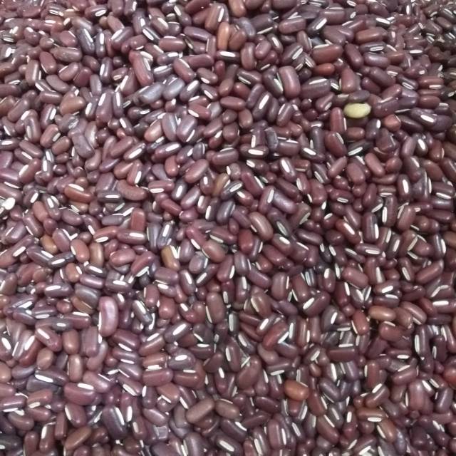 Jual Kacang Merah - Tausa - O Tausa - Otausa - Kacang Hitam 250 gr ...